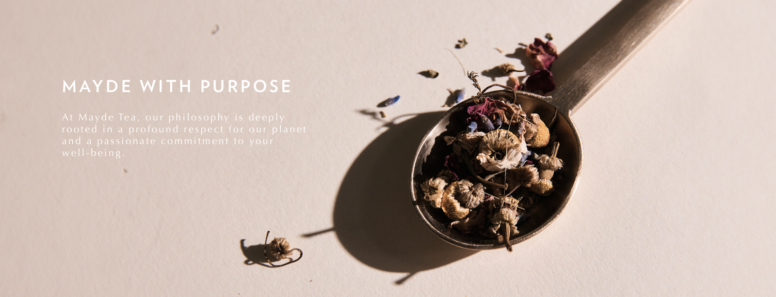 Mayde Tea Australia | Organic tea, latte powders & brewing accessories